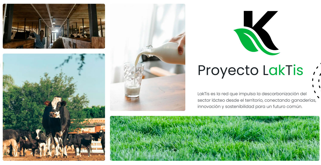 Is it mandatory for SMEs to calculate their carbon footprint? - Solid ...